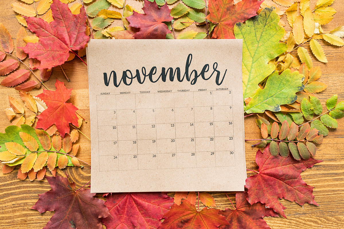9 November Events Around the Main Line