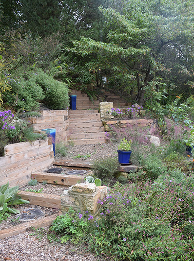 Margot Taylor’s Dancing Tree Estate Is a National Model for Sustainability