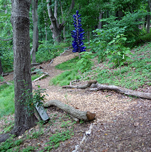 Margot Taylor’s Dancing Tree Estate Is a National Model for Sustainability