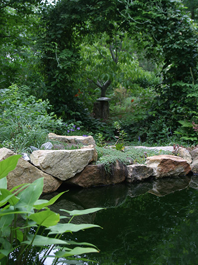 Margot Taylor’s Dancing Tree Estate Is a National Model for Sustainability