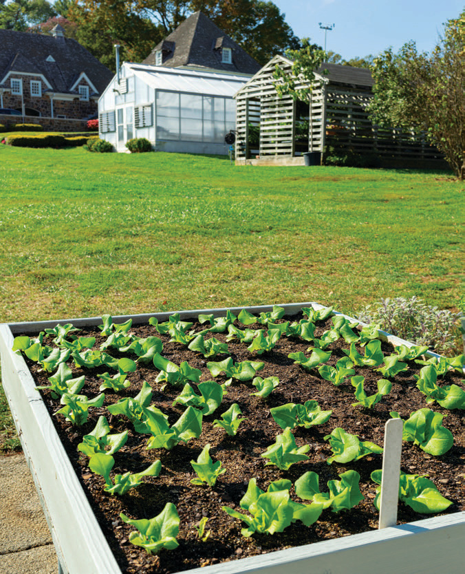 Rock Hill Farm: The History of the For-Sale Berwyn Property