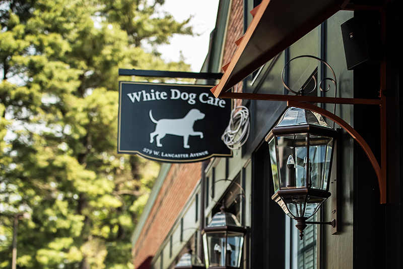 Dining Out for the Dogs at White Dog Cafe Benefits Local Veterans